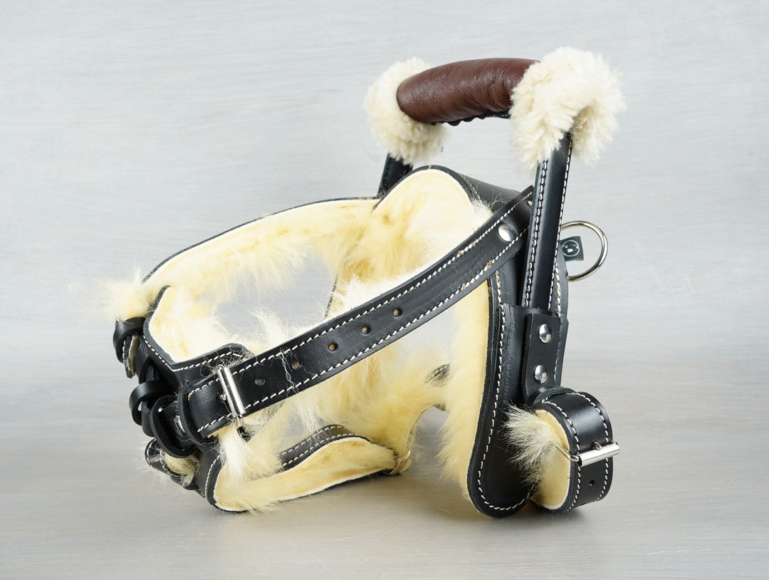 Y Front Leather Dog Harness for Grounding, Pulling and Mobility Support ...