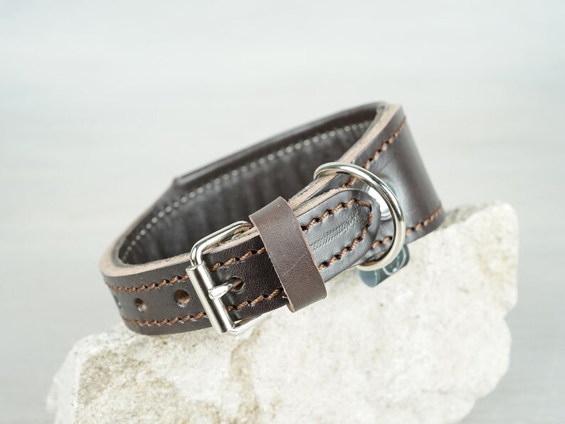 Padded Leather Tapered Dog Collar Tan Color Wide Leather Dog | Etsy