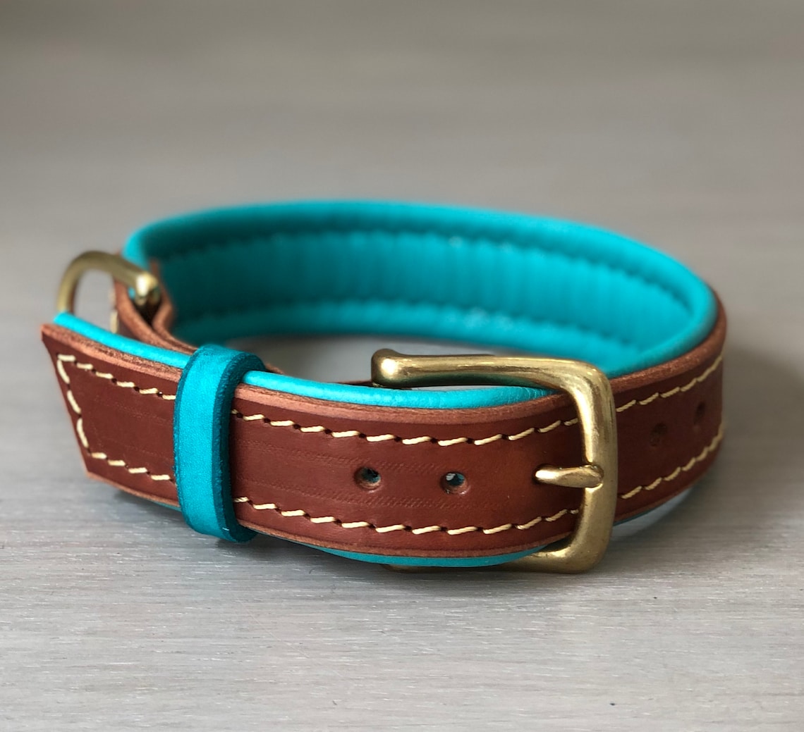 Maroon Leather Dog Collar Padded With Soft Teal Leather Solid - Etsy