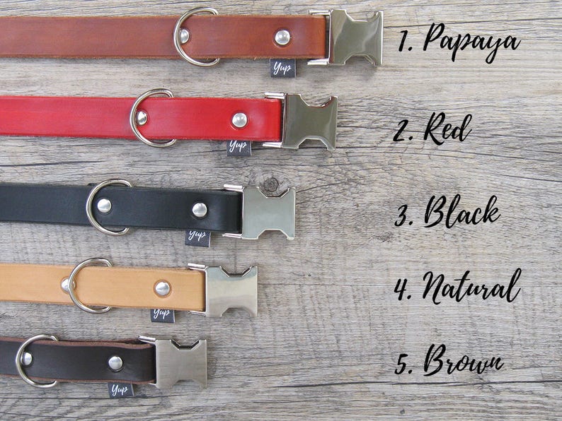 Quick Release Dog Collar in Brown Leather and Silver Plated - Etsy