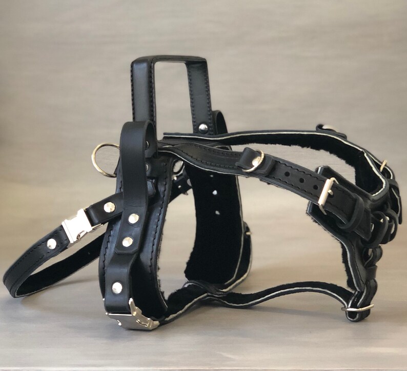 Y Front Guide Dog Harness With Extra Belly Strap Fixed Rigid - Etsy