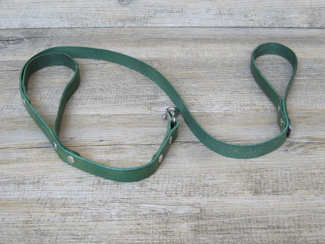 Green Leather Dog Leash with Traffic Handle in Nickel Brass | Etsy
