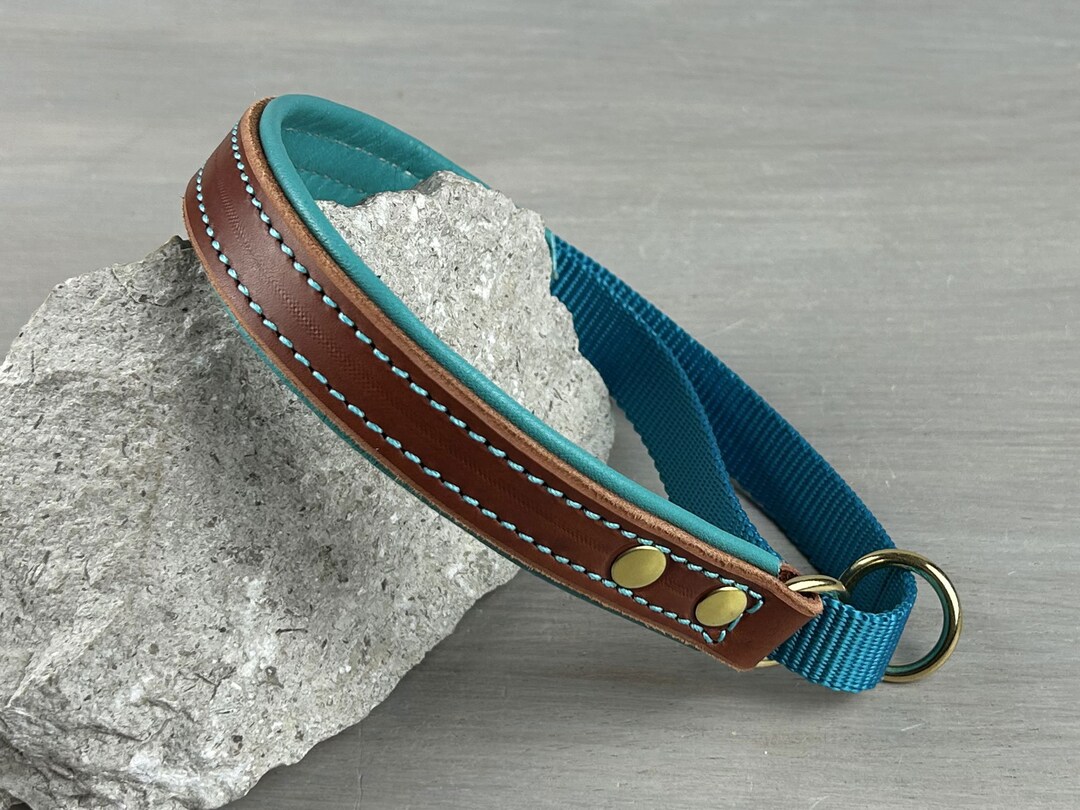 Papaya Padded Leather Martingale Dog Collar With Nylon Strap, Slip on ...