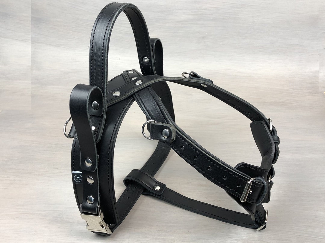 Leather Dog Harnesswith Handle, X Back Harness, Fixed Semirigid Handle ...
