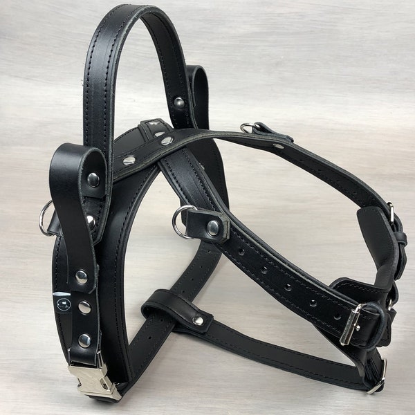 Custom X Back Dog Harness - Etsy