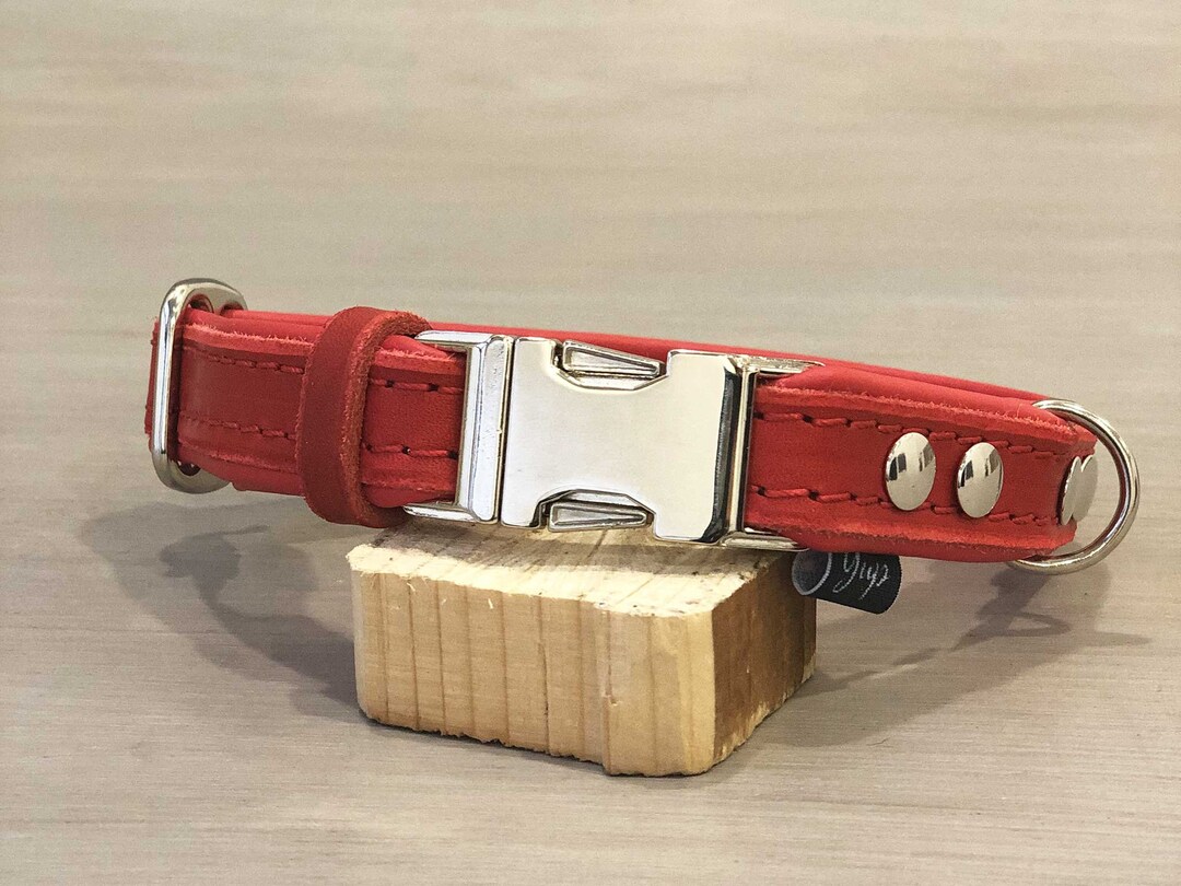 Padded Red Leather Quick Release Dog Collar With Silver Colored Metal ...