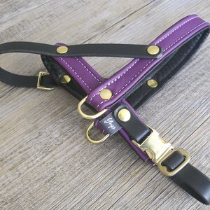 Purple Dog Harness, Ultra Soft Leather, Adjustable Harness for Small ...