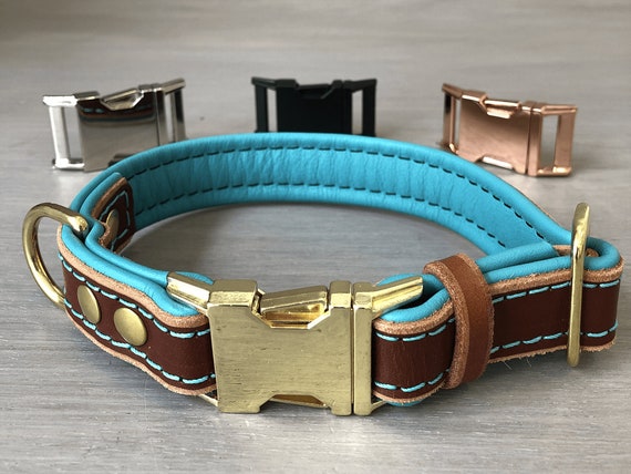 Padded Leather Quick Release Dog Collar in Papaya and Teal | Etsy