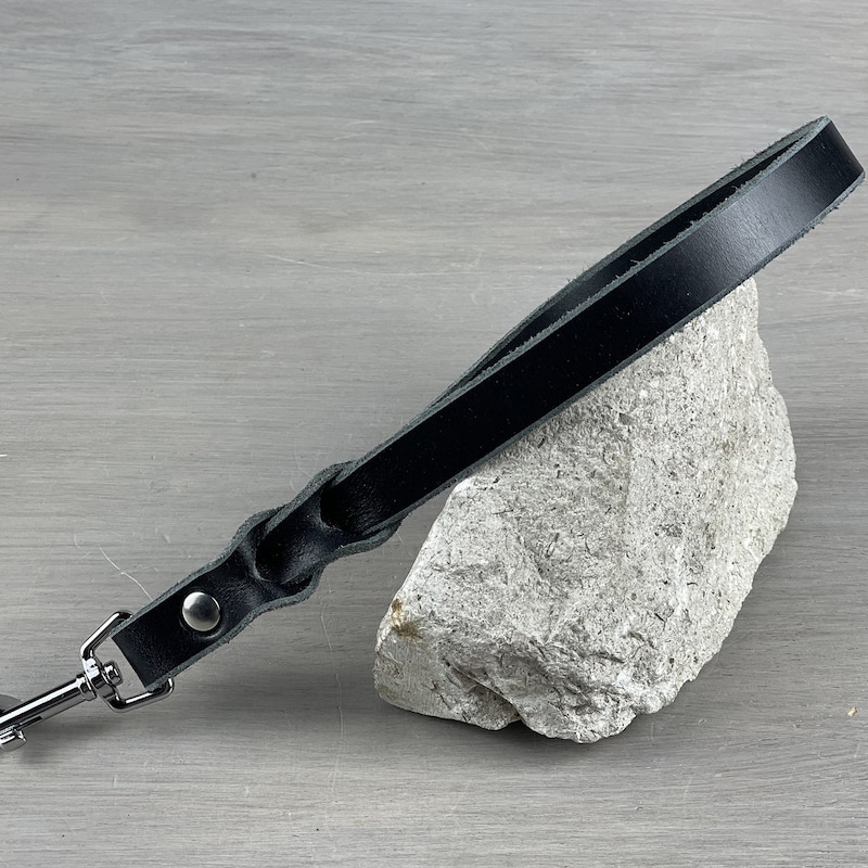 Custom Dog Leash - Etsy