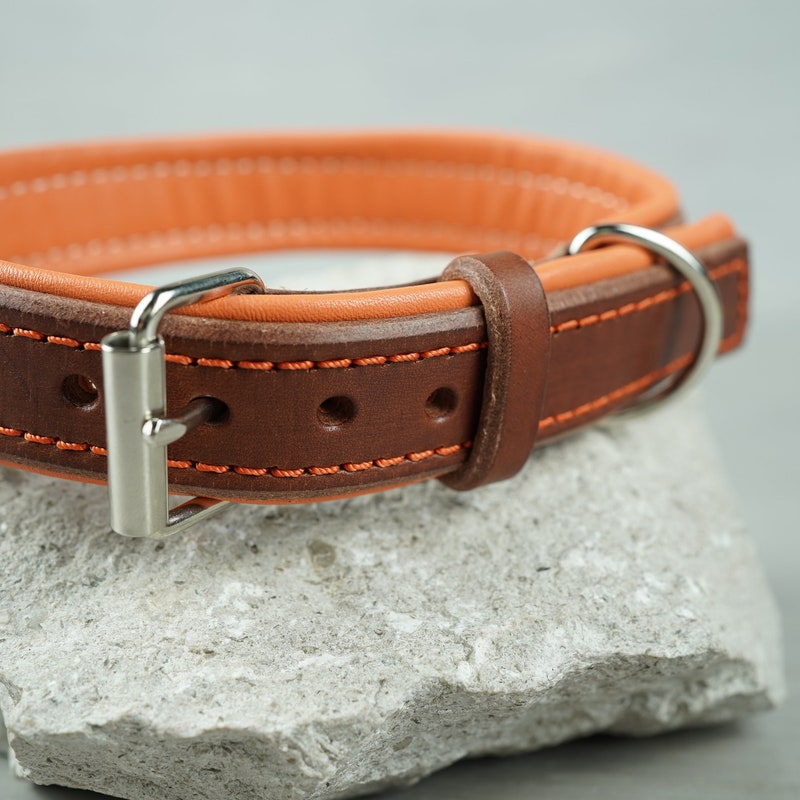 Orange Dog Collar - Etsy