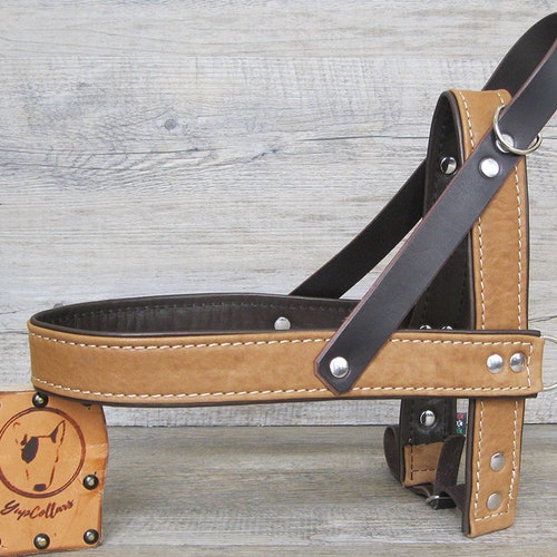 Dog Harness in Ultra Soft Brown Leather Adjustable and | Etsy