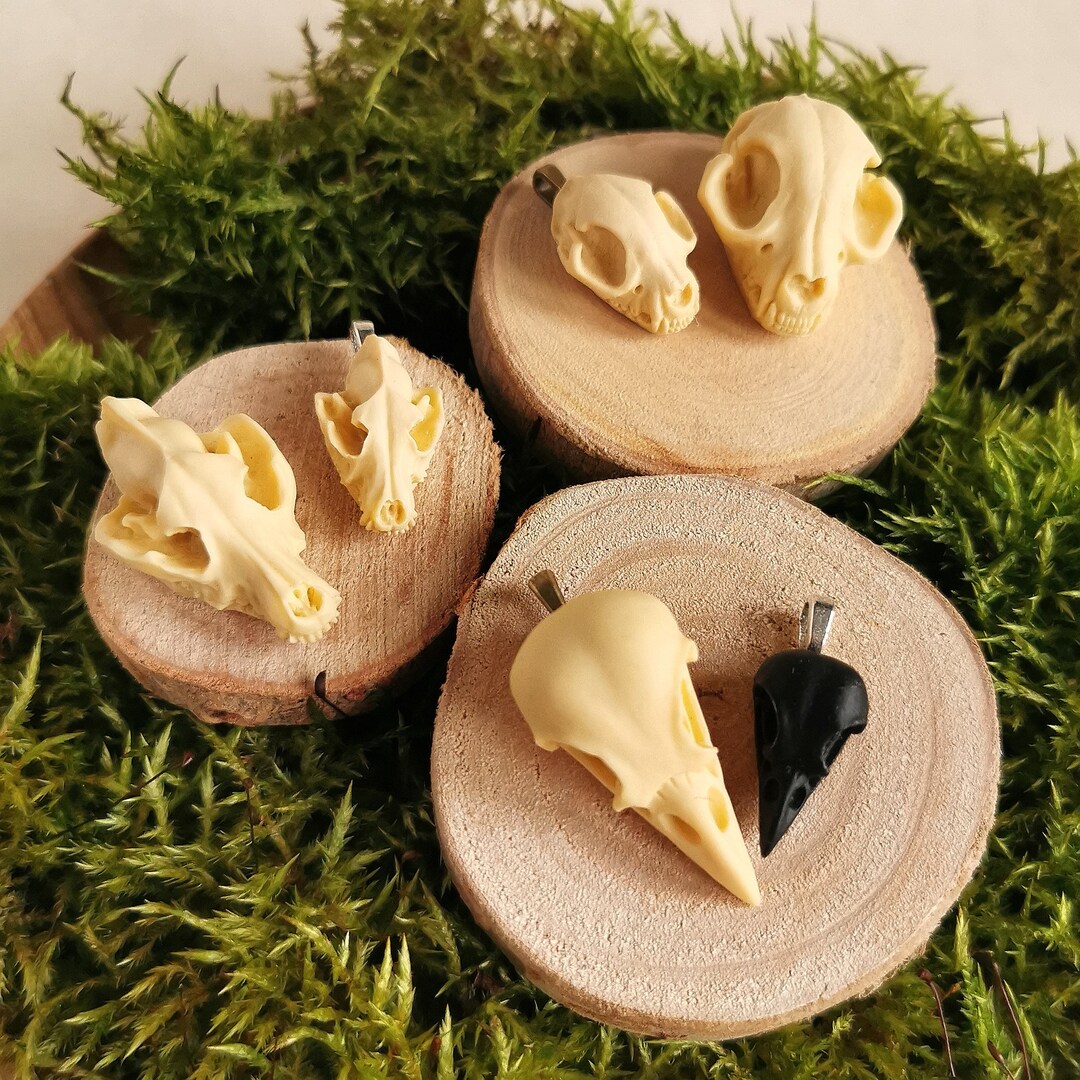Pendant Animal Skull Made of Resin Ivory Colored and Black for Cosplay ...