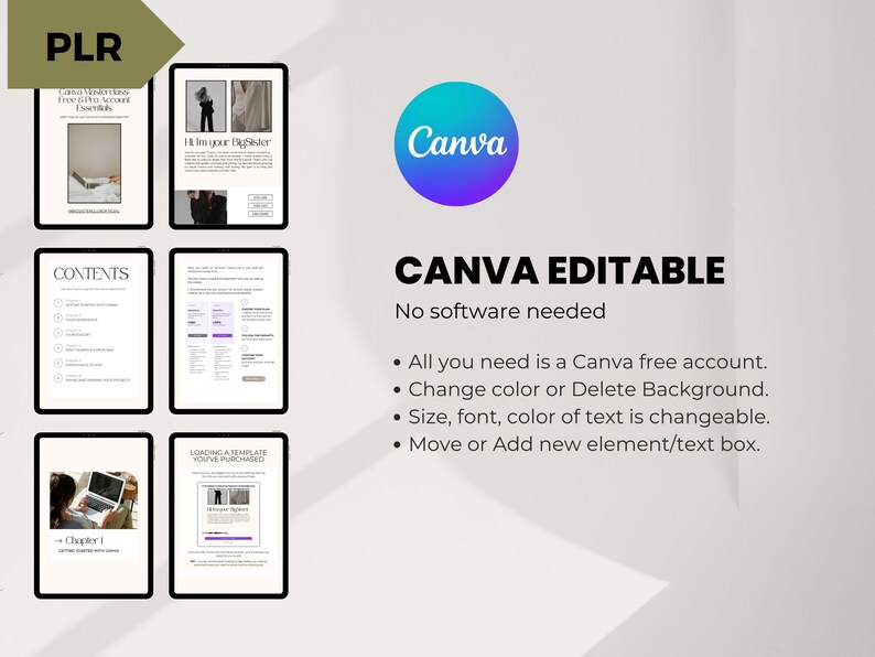 Canva Masterclass: Complete Guide on How to Use Canva, Pro Features ...