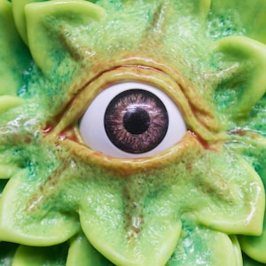 The All Seeing Succulent - Etsy