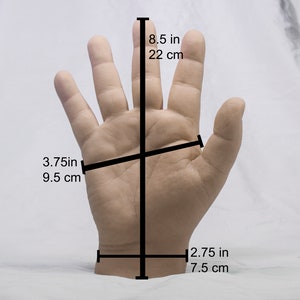 Pose-able Pair Silicone Robust Male Mannequin Hands - Light - Display ...