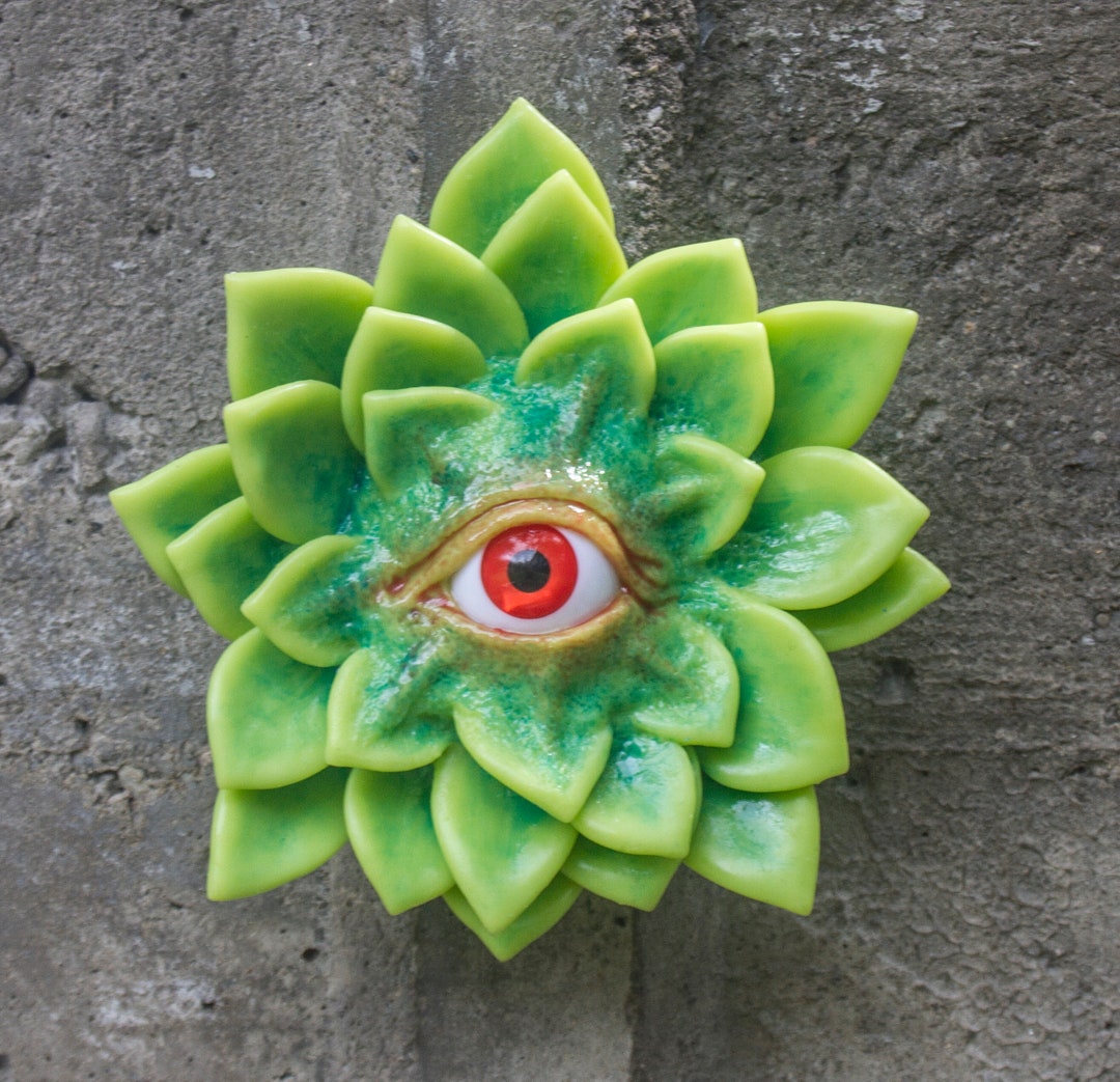 The All Seeing Succulent - Etsy
