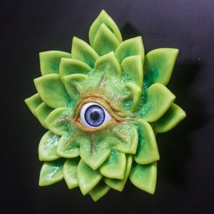 The All Seeing Succulent - Etsy