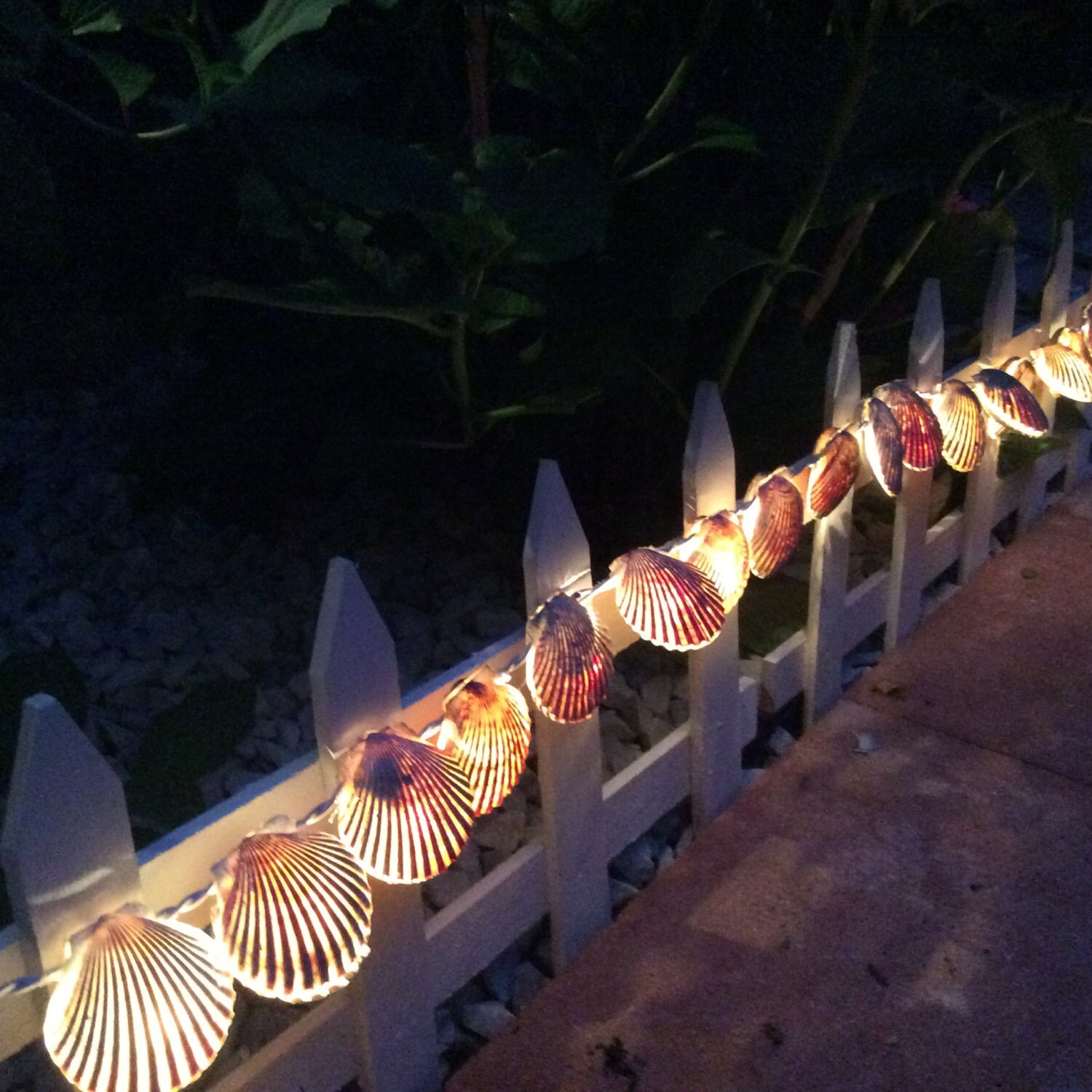 Provincetown Mass. Handmade Authentic Bay Scallop Shell Lights - Etsy