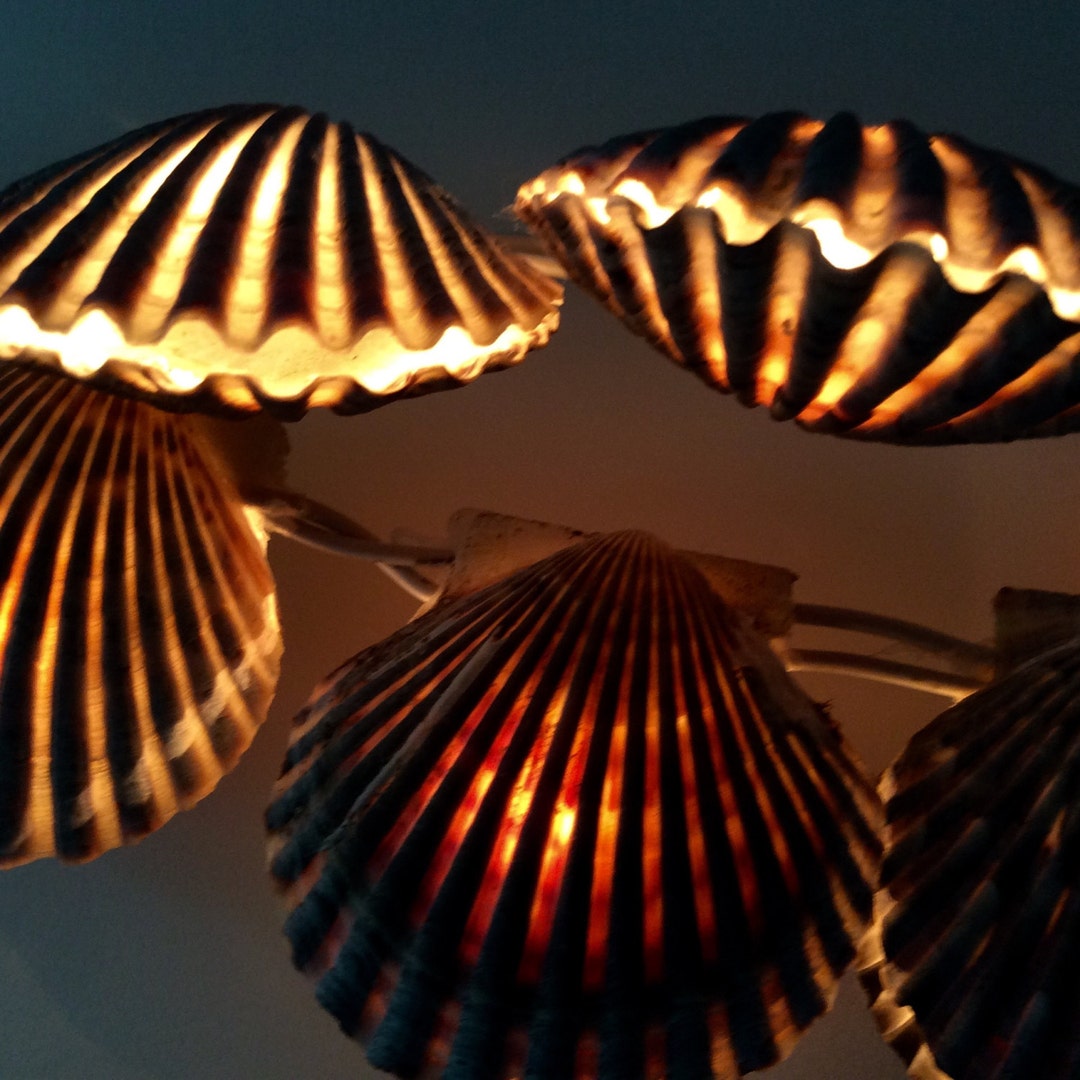 Provincetown Mass. Handmade Authentic Bay Scallop Shell Lights - Etsy