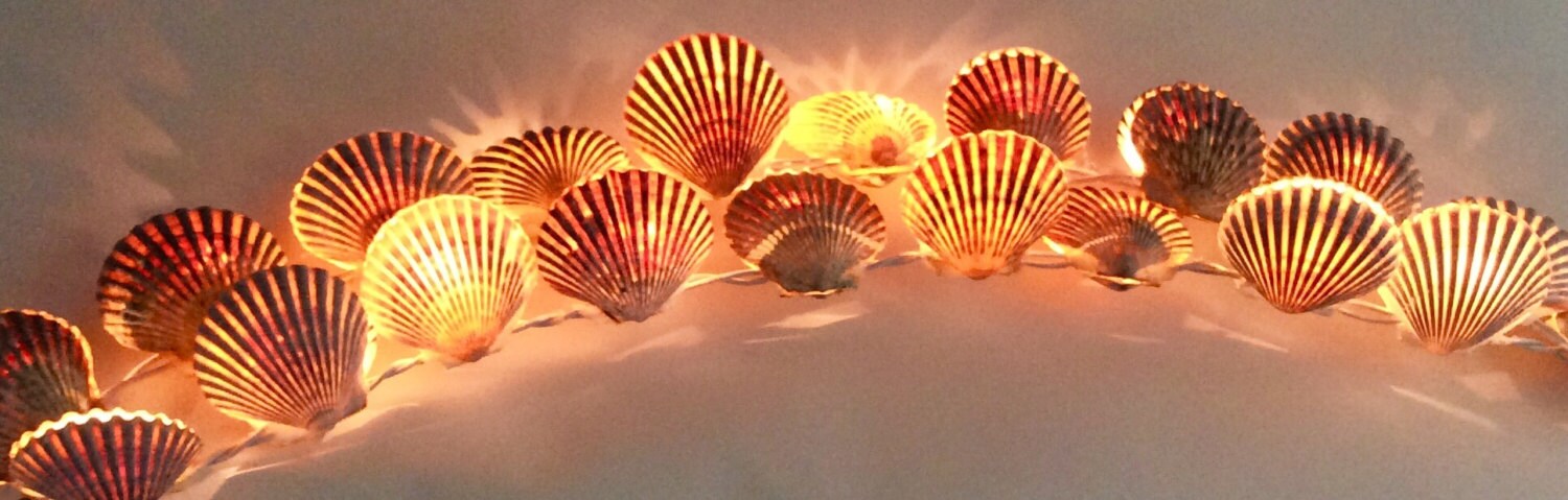 Provincetown Mass. Handmade Authentic Bay Scallop Shell Lights - Etsy