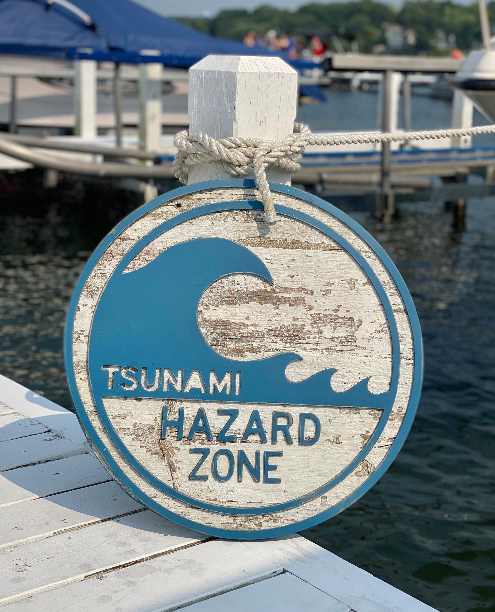 Tsunami Hazard Zone Beach Warning Sign, 3D Art on Reclaimed Wood ...