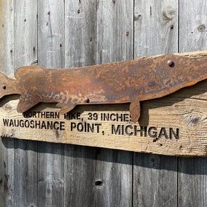 Catch and Release Trophy Sign. Rusty Metal Fish Mounted on Weathered ...