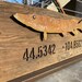 Catch and Release Trophy Sign. Rusty Metal Fish Mounted on Weathered ...