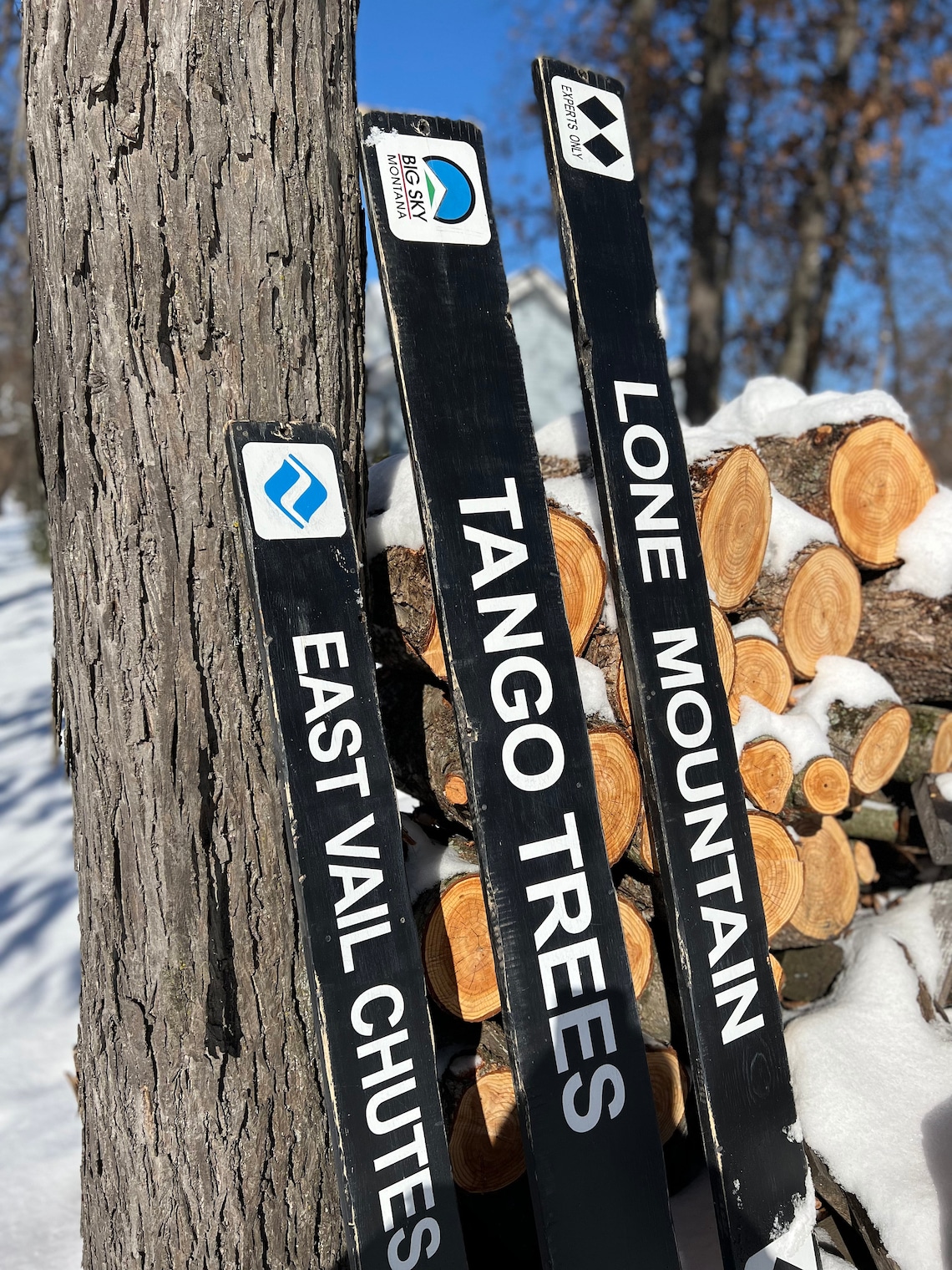 Vintage Ski Resort Logo Ski Trail Sign. Personalized Ski Sign. | Etsy