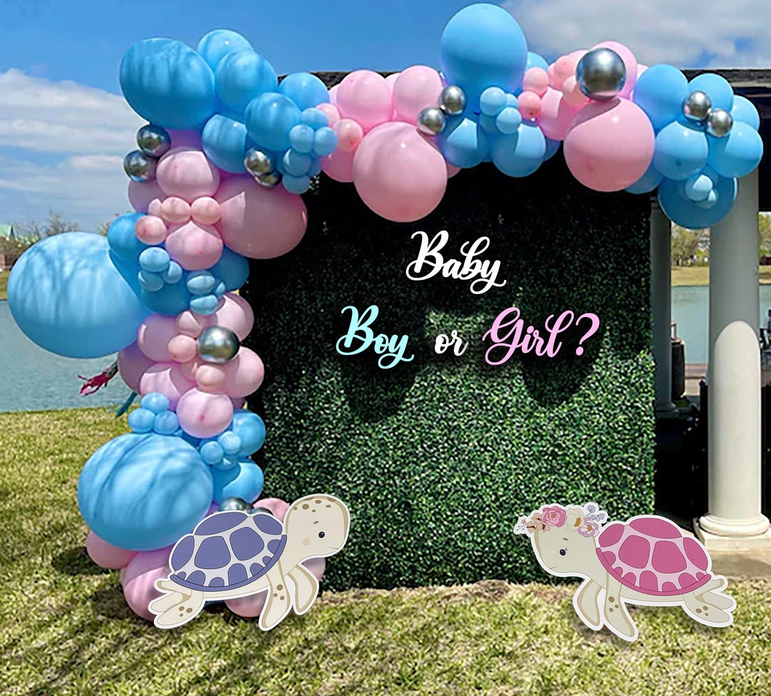 Cute Twin Baby Sea Turtles, Gender Reveal Turtle Props - Etsy