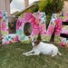 Floral LOVE Letter Cutouts | Large Party Photo Props - Etsy
