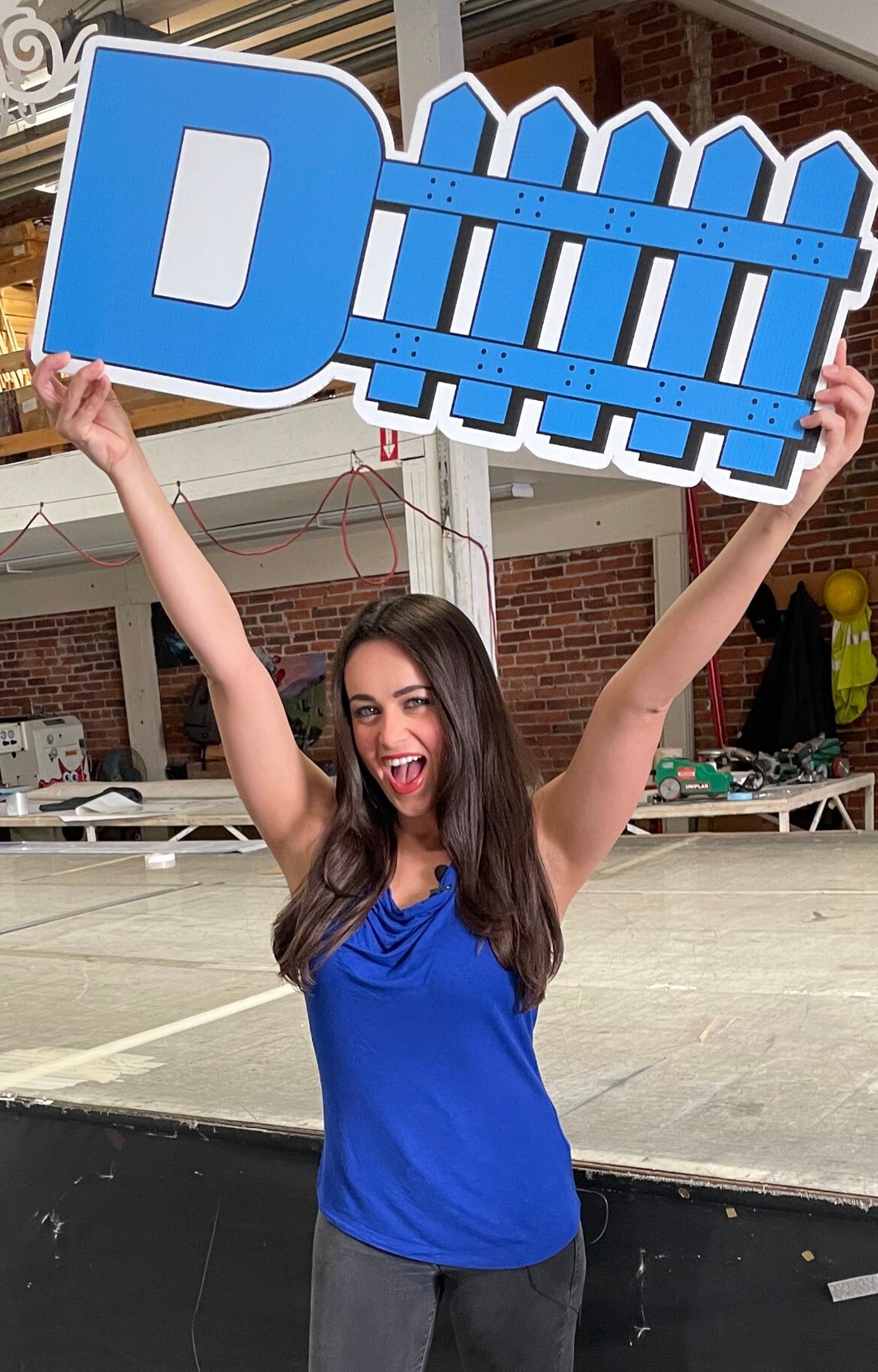 Rams Inspired Defense Sign, D-fence. Super Bowl Prop - Etsy