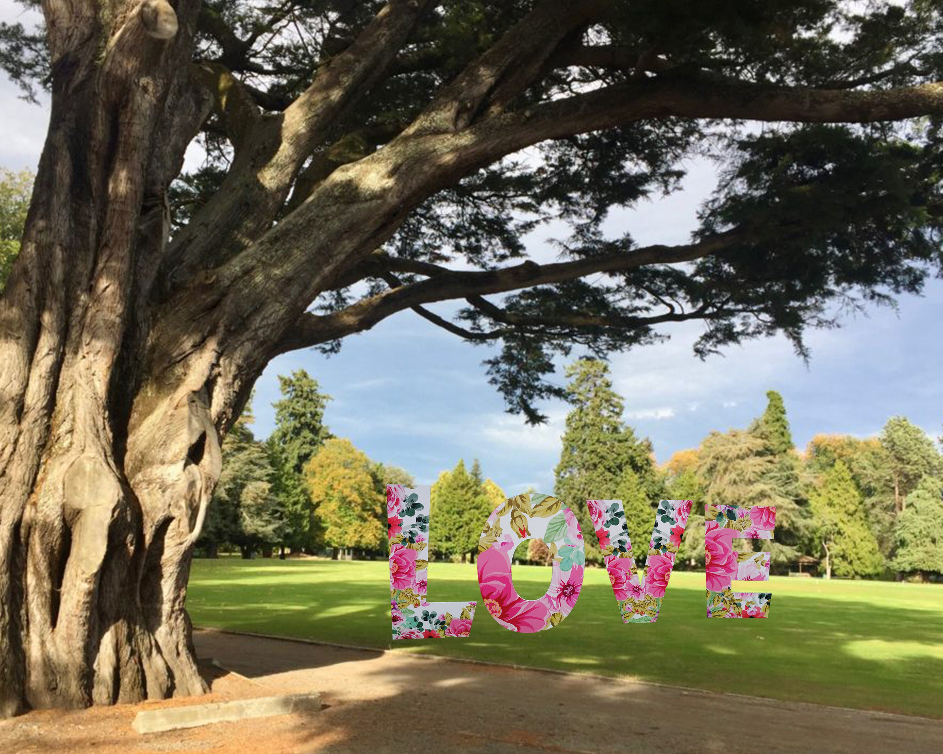 LARGE LOVE Letter With Roses Cutouts Love Party Props Love - Etsy