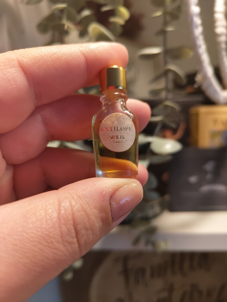 Antílope by Weil Rare Vintage Colletible Perfume 3ml No Box - Etsy