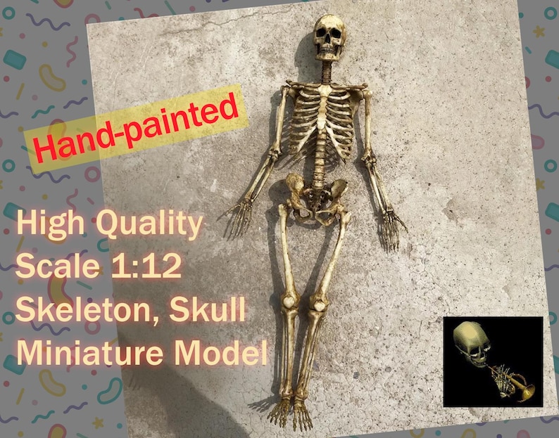 Skeleton Skull Miniature Model for Dioramas & Art Projects, Action ...