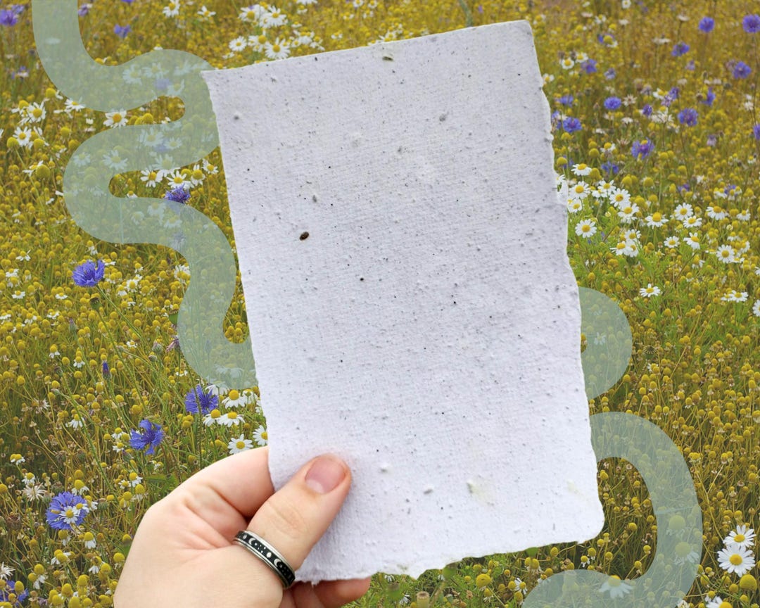 Wildflower Seed Paper, Intention Paper, Petition Paper, Recycled, Spell ...