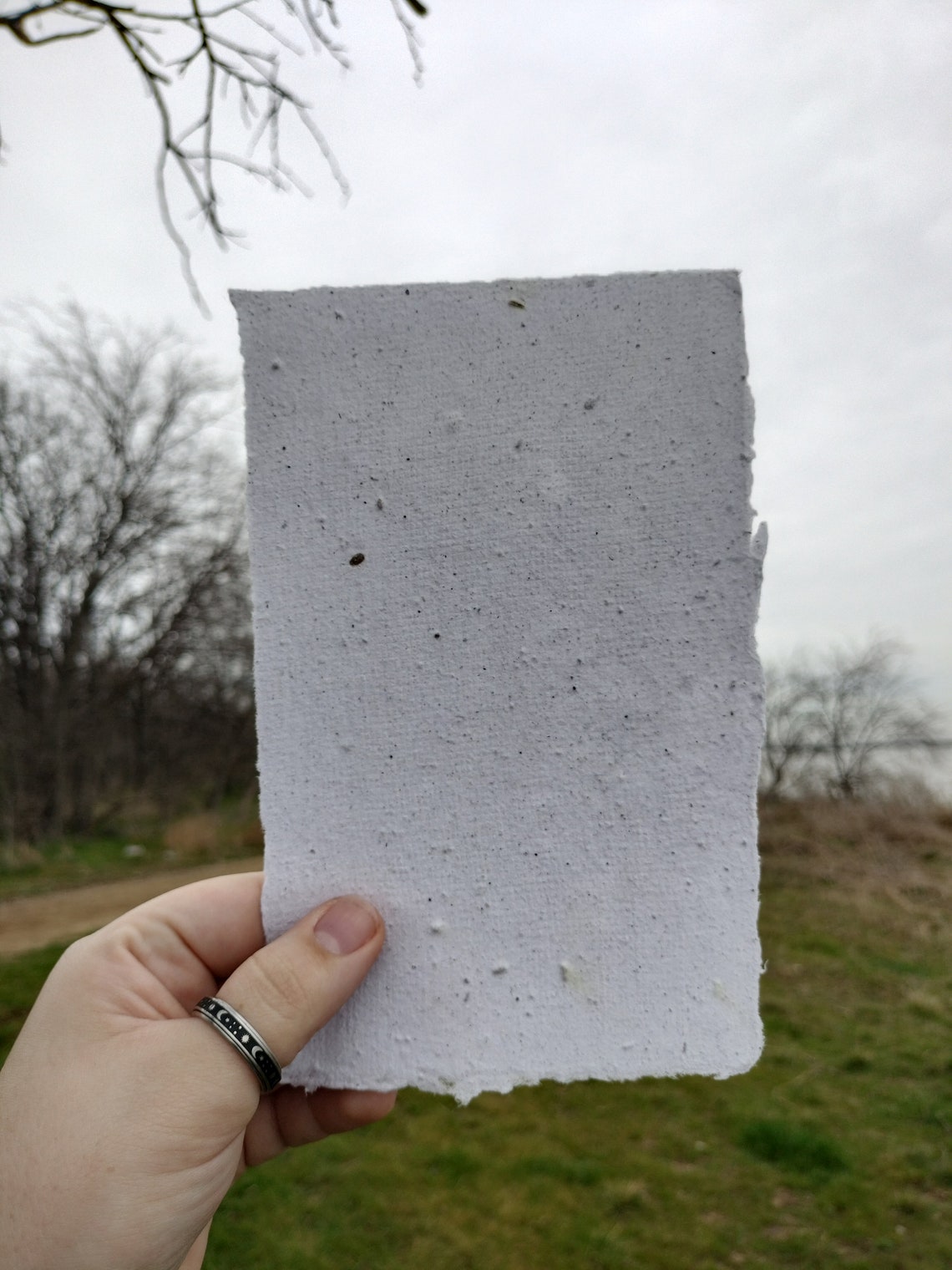 Wildflower Seed Paper, Intention Paper, Petition Paper, Recycled, Spell ...