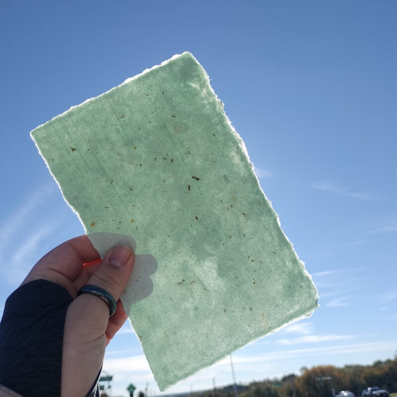 Penpal Paper Dolls - Etsy