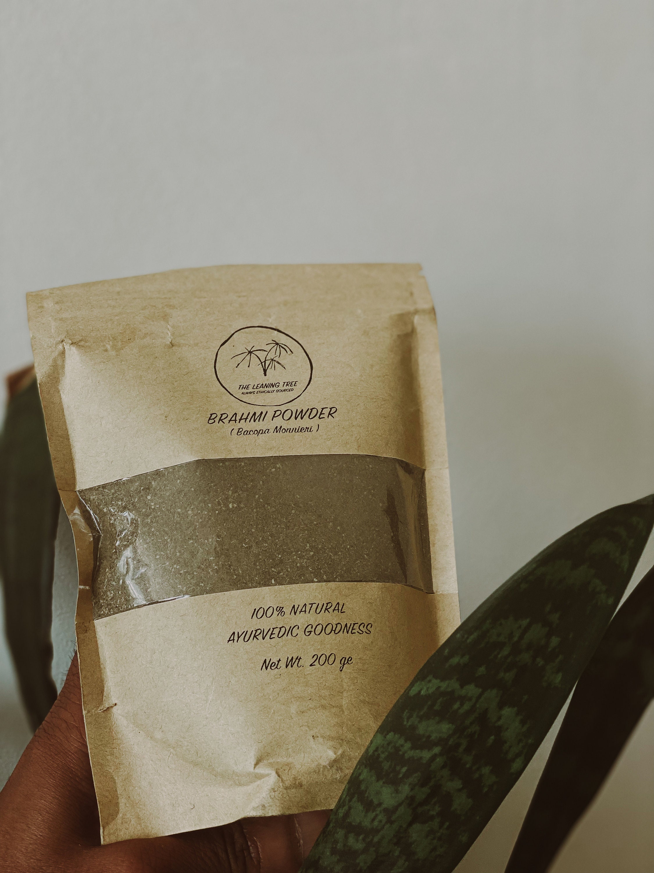 Brahmi Powder Bacopa Monnieri, Ayurvedic Herbal Tea for Mental Well ...