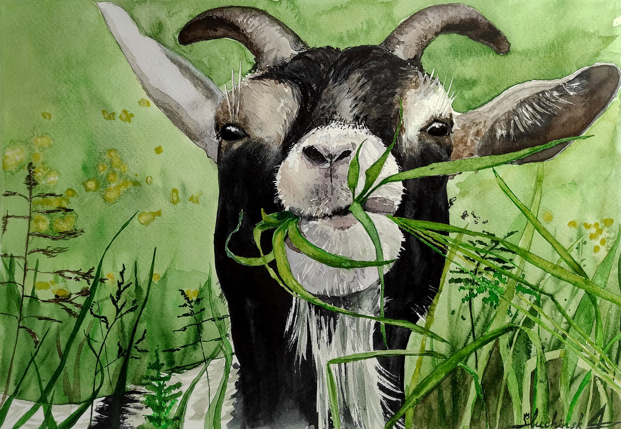 Goat Painting Watercolor Original Art Animal Farm Artwork Rustic Wall ...