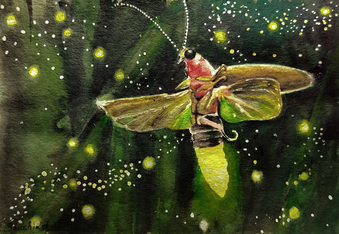 Firefly Painting Light Watercolor Original Art Nature Artwork | Etsy