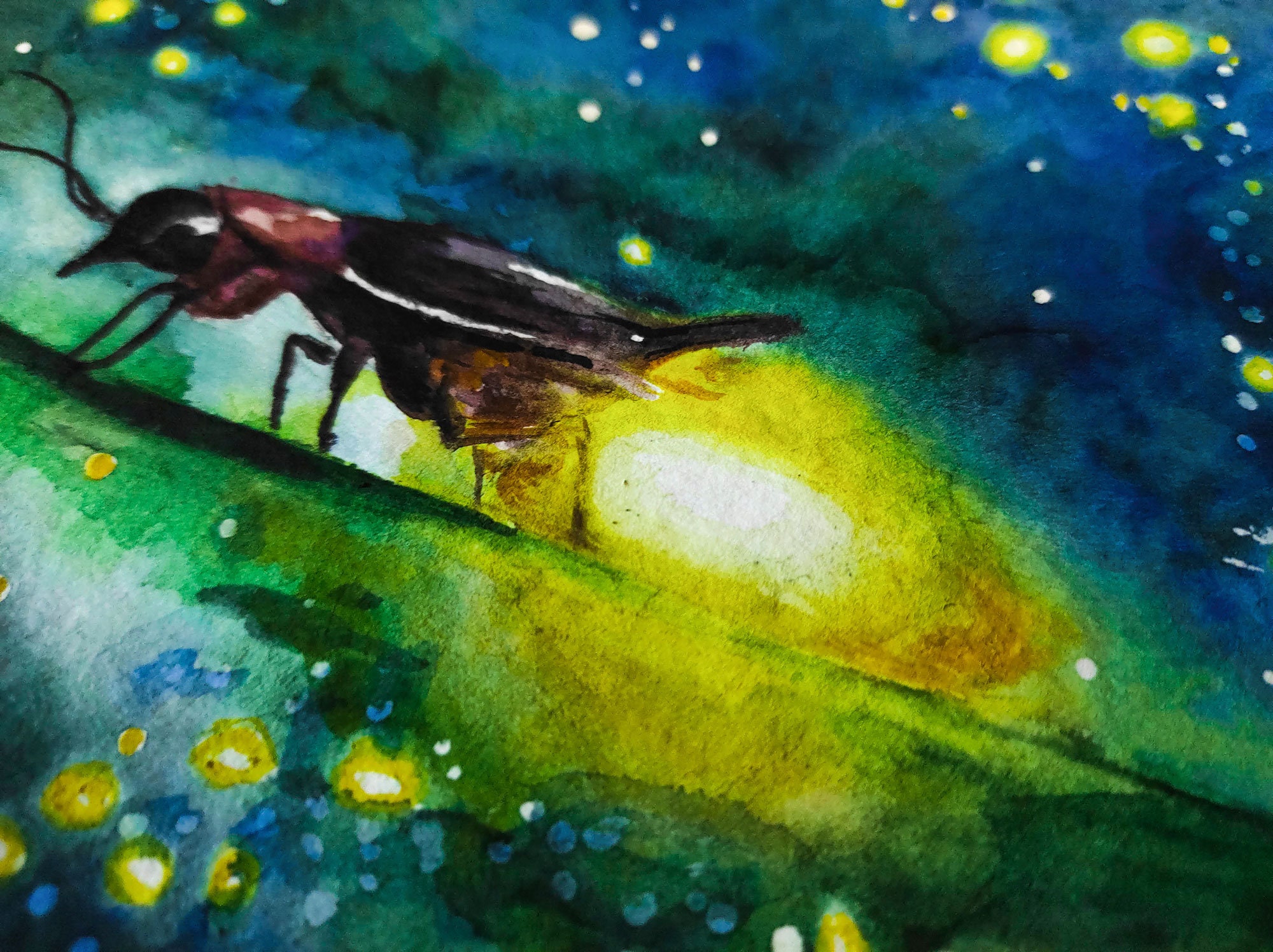 Firefly Painting Watercolor Original Art Nature Painting Fantasy ...