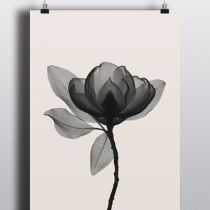 Magnolia Print Digital Download, X-ray Flower, Botanical Downloadable ...