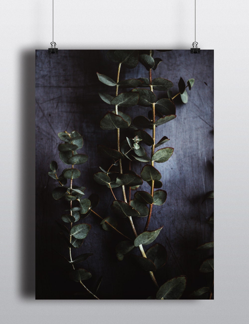 Eucalyptus Print Botanical Print Eucalyptus Art Eucalyptus | Etsy