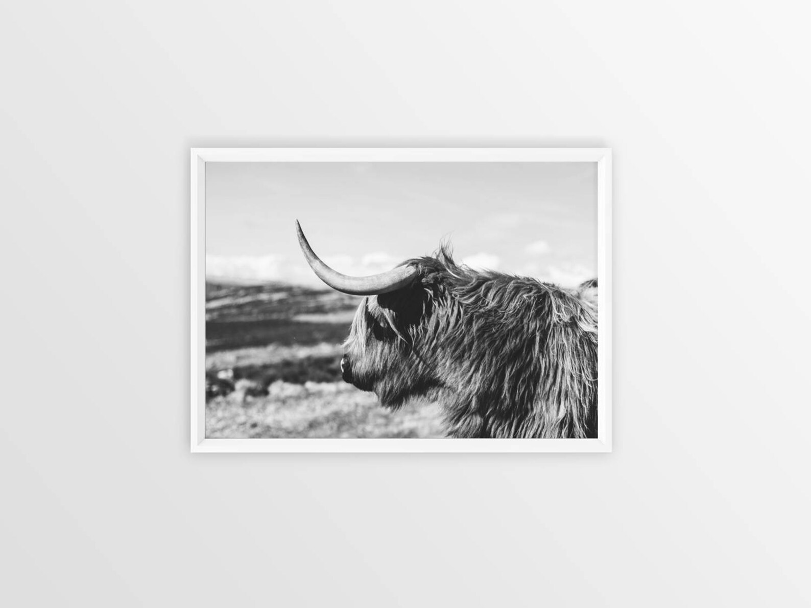 HIGHLAND COW PRINT Cow Art Cow Print Animal Prints | Etsy