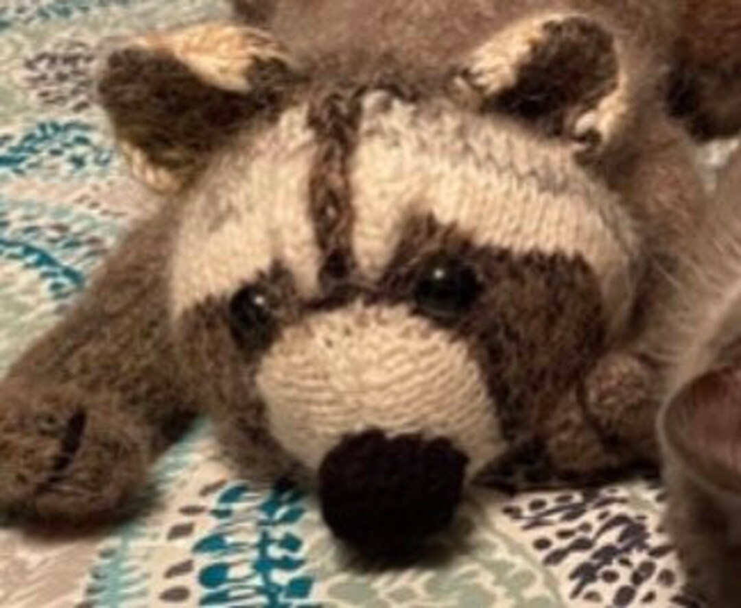 Knitted Racoon _ Iowa State Fair Ribbon Winner - Etsy