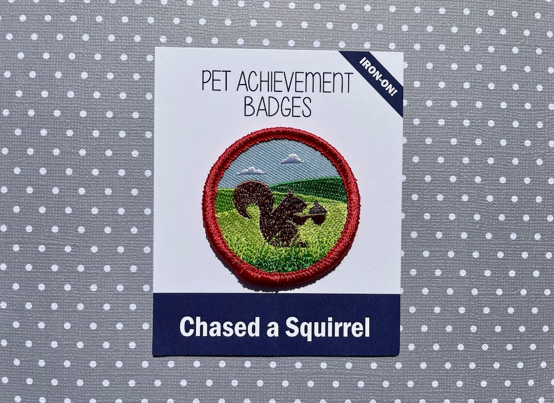Chased a Squirrel, Pet Achievement Badge, Badass Badges, Iron-on Patch ...