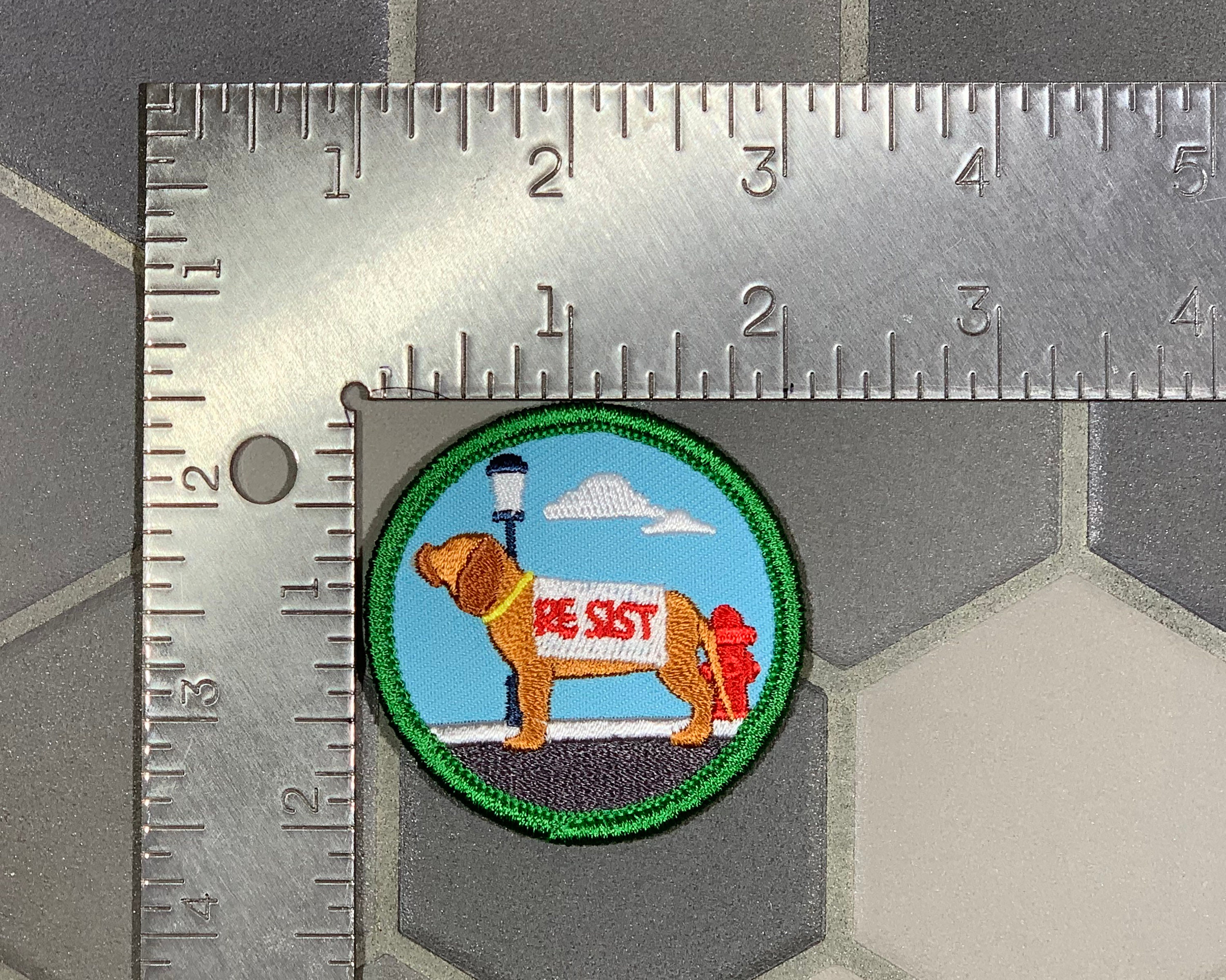 Civil Rights Watchdog, Dog Achievement Badge, Badass Badges, Iron-on ...