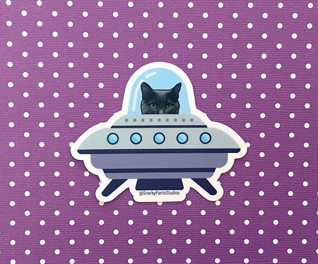 Murder Cat in Space, Cat in Spaceship Sticker, Spaceship Sticker ...