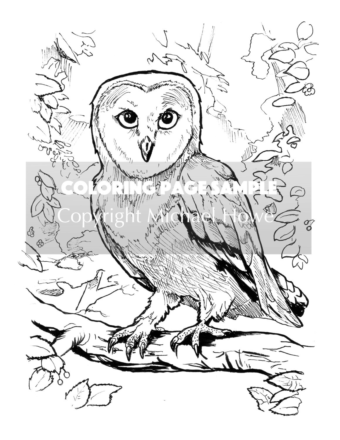 Inktober Fairyland Fantasy Art Coloring Page Download: "the Owl" - Etsy