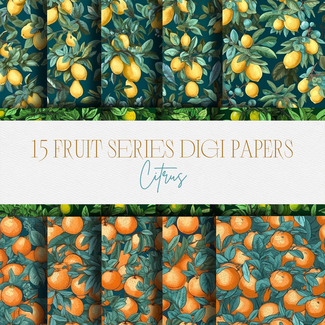 15 Digi Papers Variations Seamless // Fruit Series // Citrus // by ...